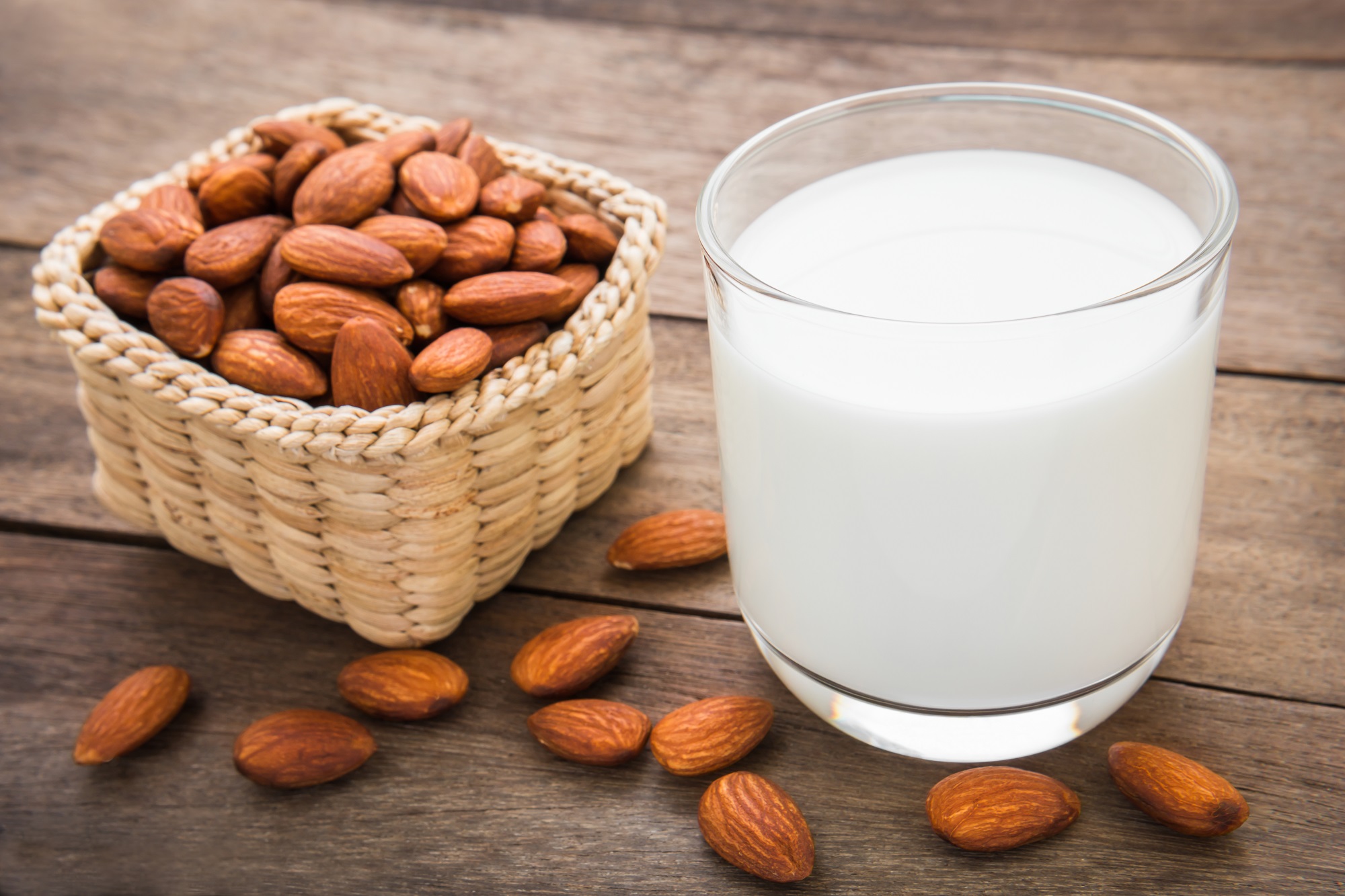 What are the top sources of protein for a balanced diet?